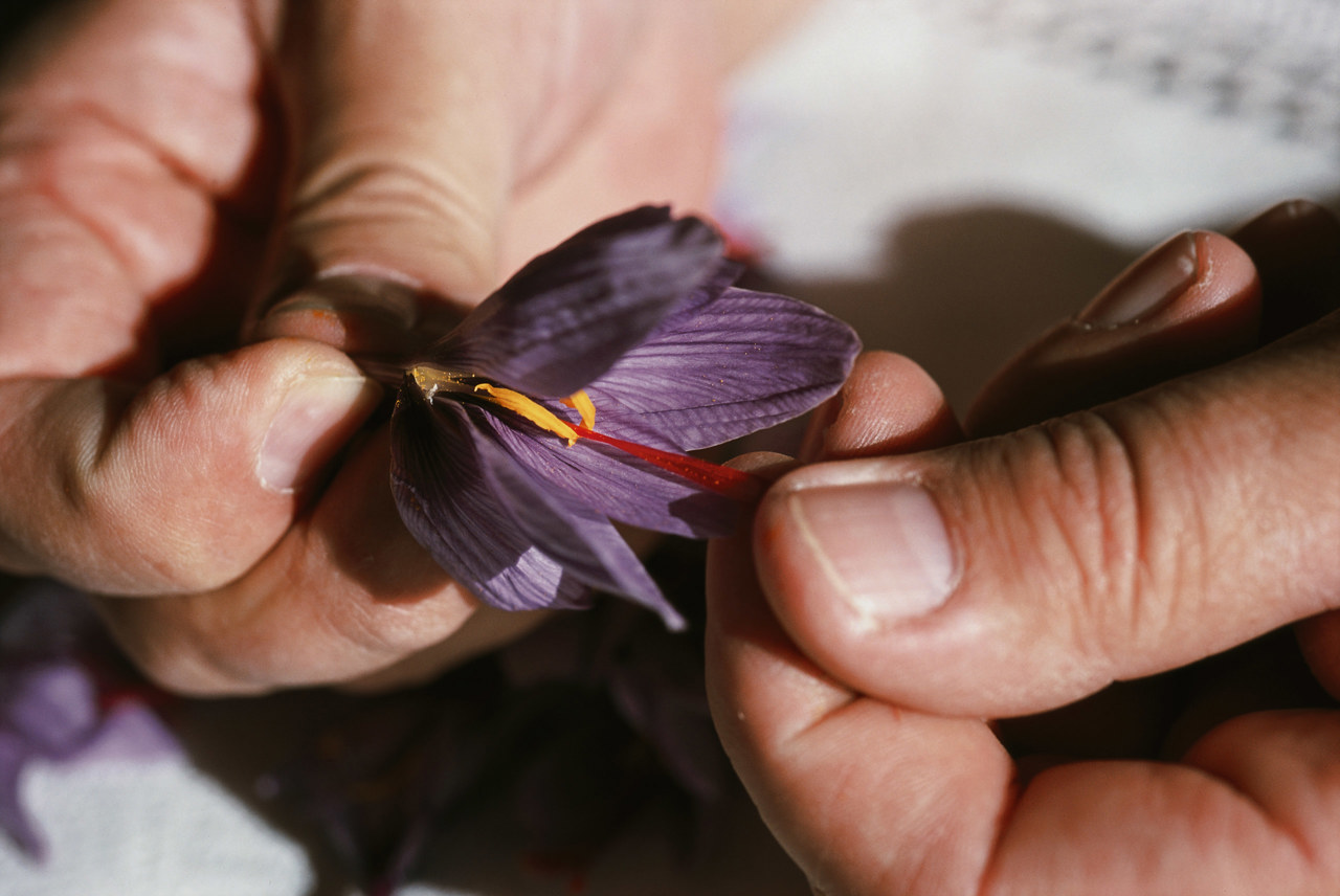 Alpine gold - Swiss Deluxe Hotels